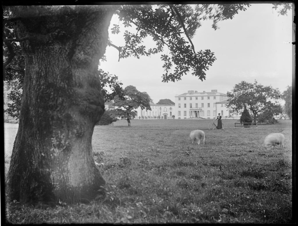 Thomas Mahon and the Trees of Strokestown Park - Strokestown Park